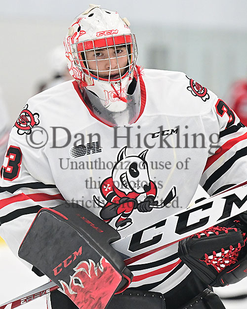 Joseph Costanzo - Elite Prospects