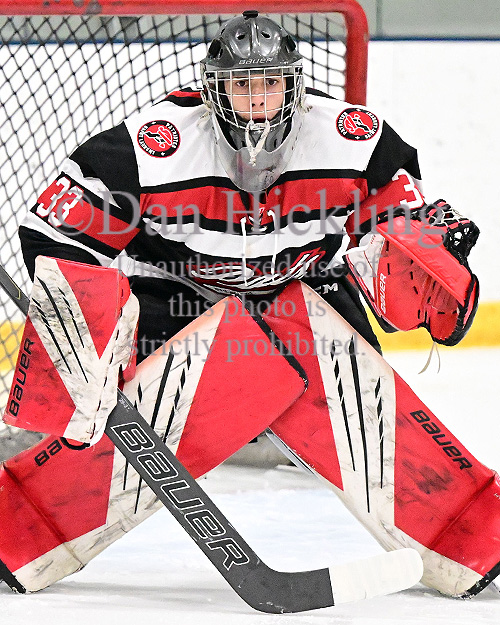 Alexandre Lauzier - Stats & Facts - Elite Prospects