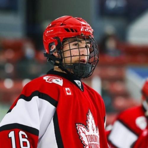 Justin Pavese - Stats & Facts - Elite Prospects