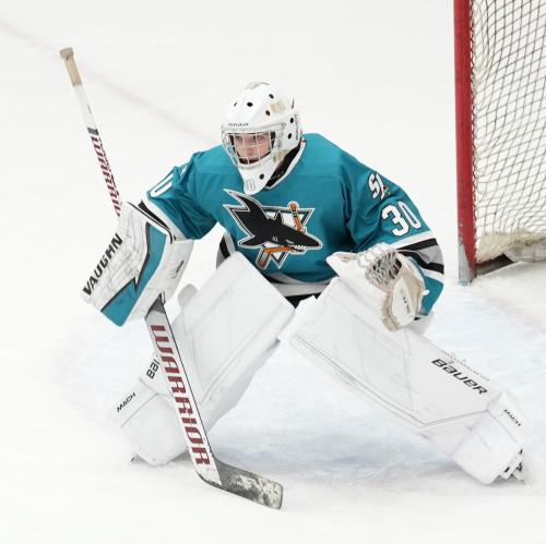 Alexander Lebedev - Elite Prospects