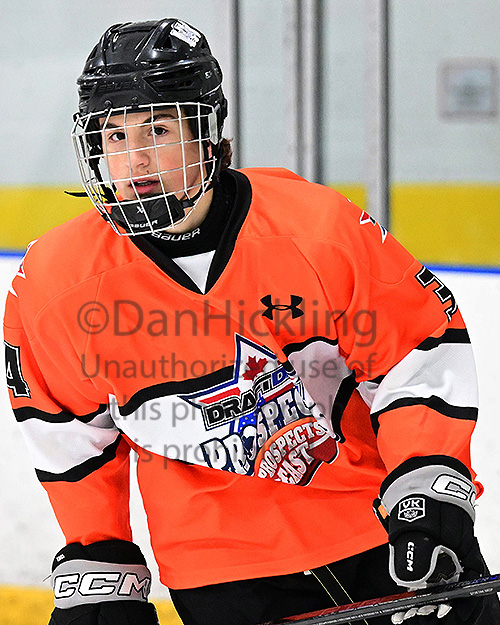 Joshua Pagani - Stats, Contract, Salary & More