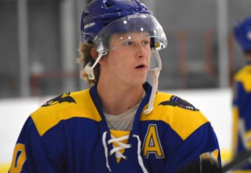 Sebastian Hale - Elite Prospects