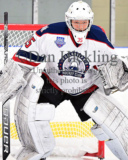 Nicholas Hansen - Stats & Facts - Elite Prospects