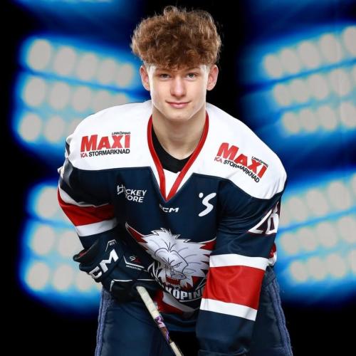 Bence Gál - Stats, Contract, Salary & More