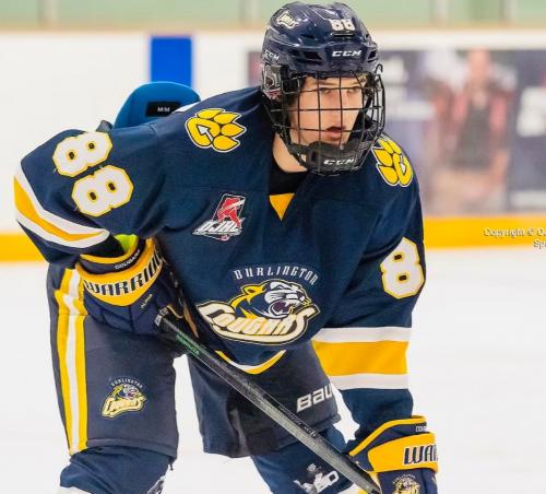 Ethan Walker - Elite Prospects