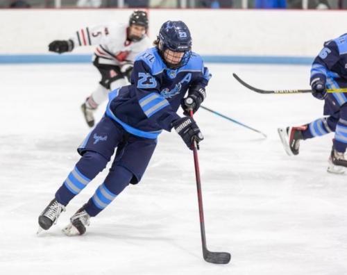 Colin Shelley - Stats, Contract, Salary & More