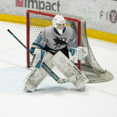 Alexander Lebedev - Stats, Contract, Salary & More