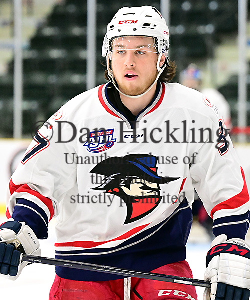 Sam Court - Elite Prospects