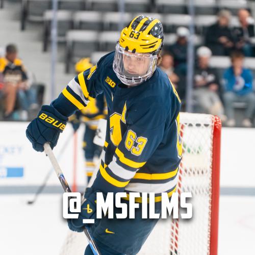 Luca Fantilli - Stats, Contract, Salary & More