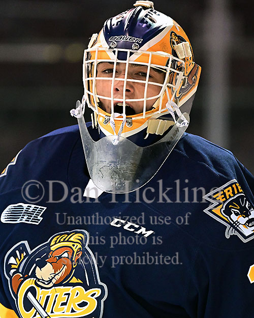 Jacob Gibbons - Stats, Contract, Salary & More