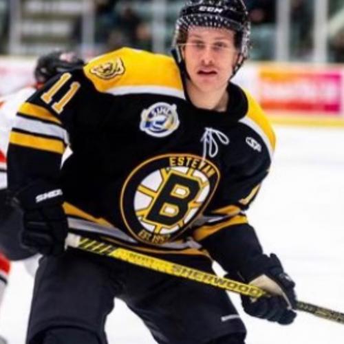 Gabriel Filion - Stats, Contract, Salary & More