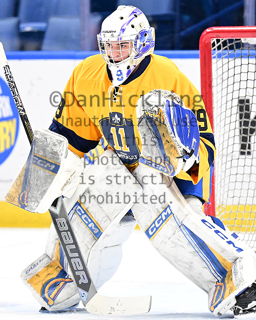 Anthony Alessi - Stats, Contract, Salary & More