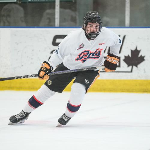 Shea Rollason - Stats, Contract, Salary & More