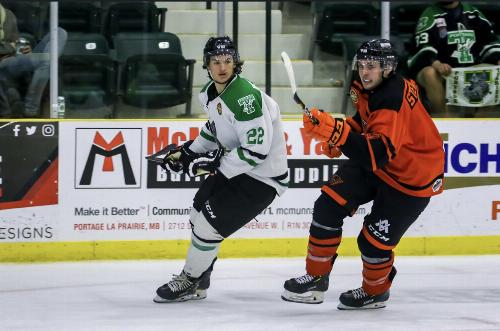Daniel Siso - Elite Prospects