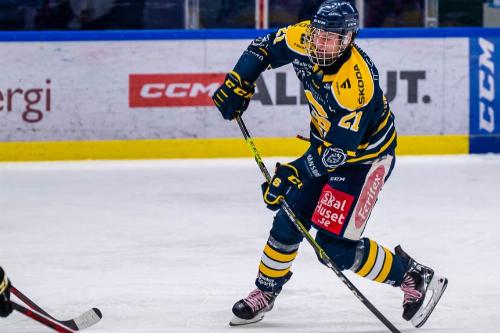 Carl Holmberg - Elite Prospects