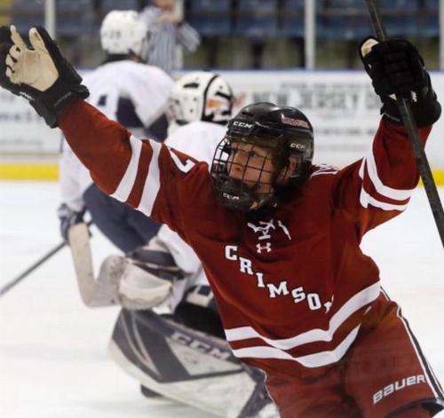 Andrew Low - Elite Prospects