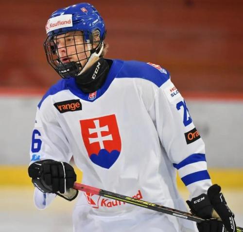 Richard Baran - Stats, Contract, Salary & More