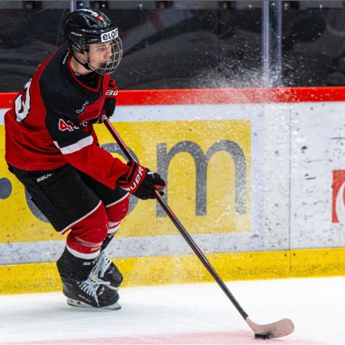 Elton Hermansson - Stats, Contract, Salary & More