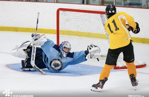 Connor Towle - Elite Prospects