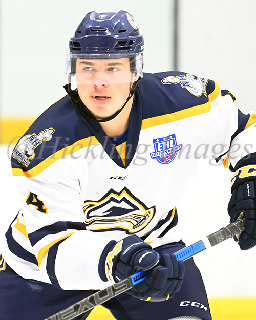 Josh Higgins - Elite Prospects