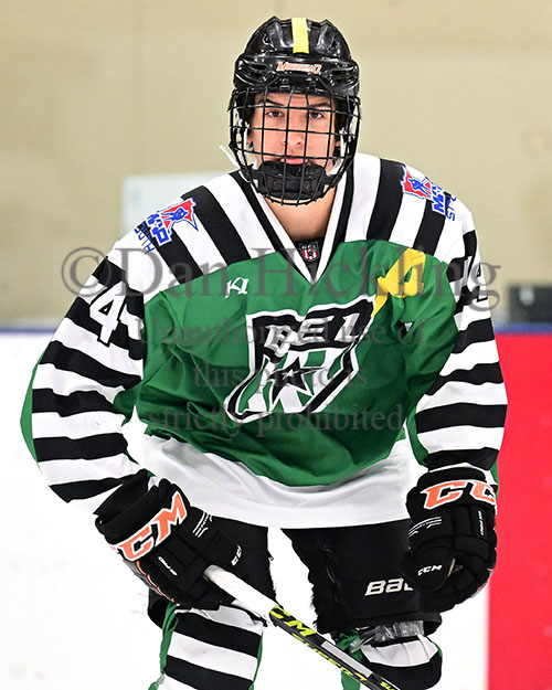 Brandon Mickelson - Stats, Contract, Salary & More