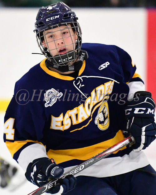 Thomas Pichette - Stats, Contract, Salary & More