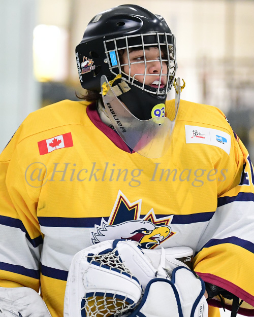 Vlad Visan - Stats & Facts - Elite Prospects