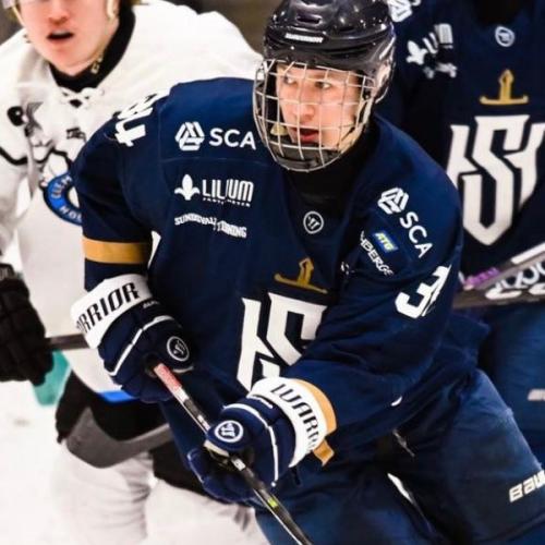 Simon Eriksson - Stats, Contract, Salary & More