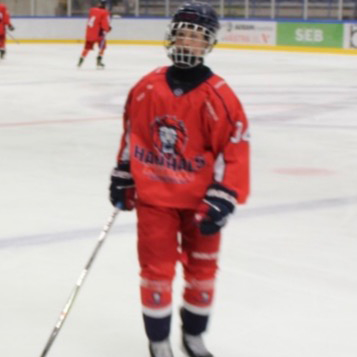 Max Johansson - Stats, Contract, Salary & More