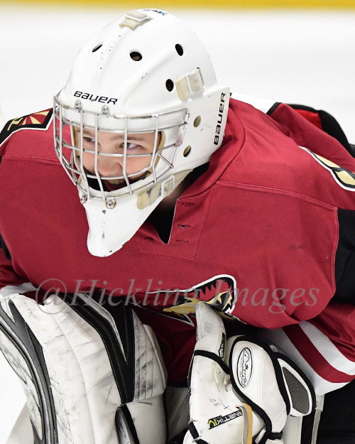 Adam Stevenson - Elite Prospects