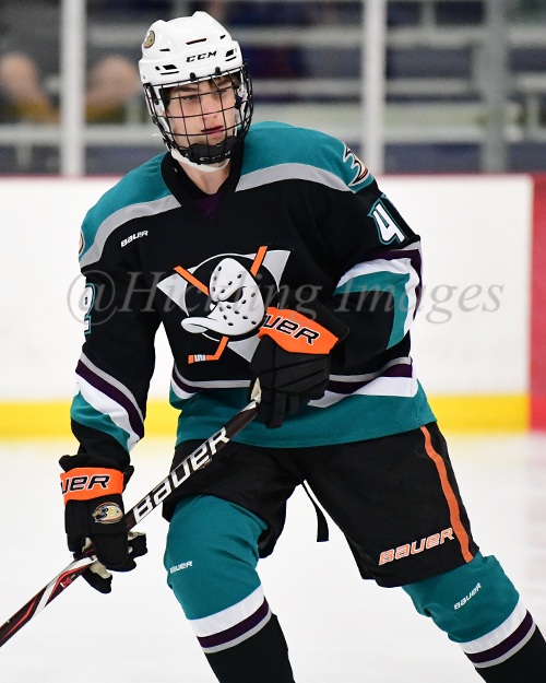 Andrew Scott - Elite Prospects