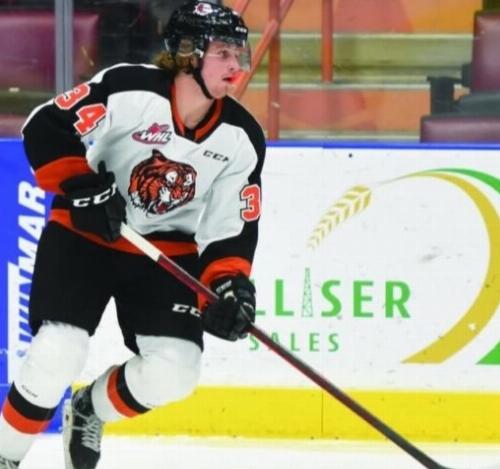 Andrew Basha - Elite Prospects