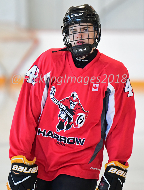 Colin MacDougall - Elite Prospects