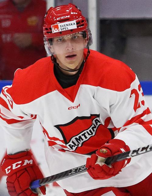 Hugo Blixt - Stats, Contract, Salary & More