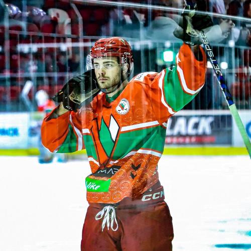 Tim Friberg - Stats & Facts - Elite Prospects