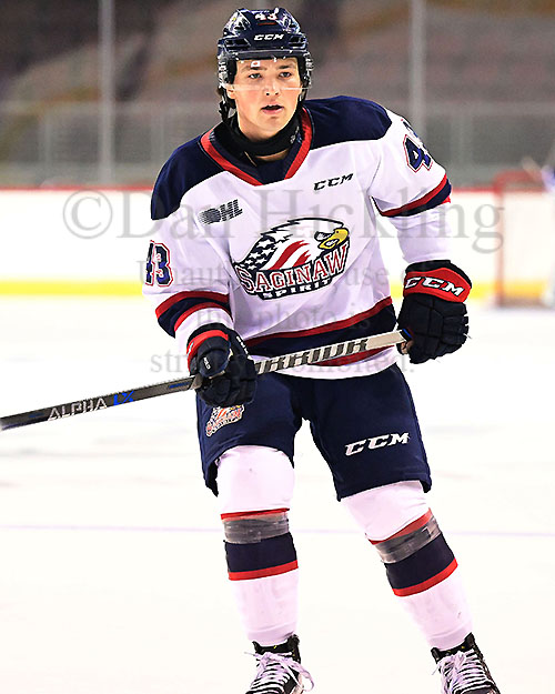 Davis Codd - Stats, Contract, Salary & More