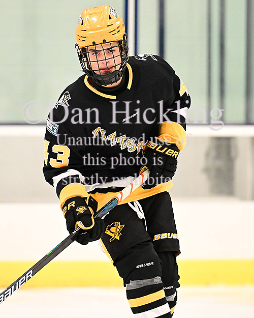 Michael Ferentino - Stats, Contract, Salary & More