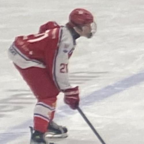 William Edlund - Stats, Contract, Salary & More