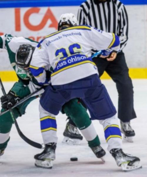 Hugo Bäck - Stats & Facts - Elite Prospects