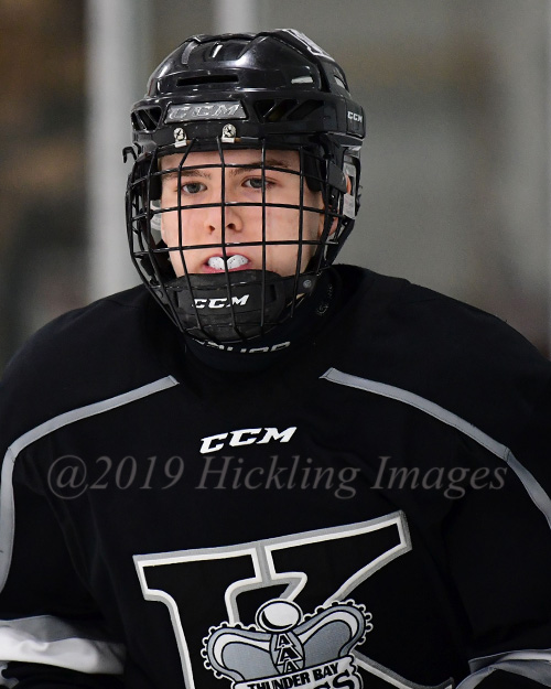 Jack Cook - Elite Prospects