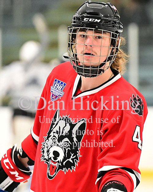 Joseph Mandel - Stats & Facts - Elite Prospects