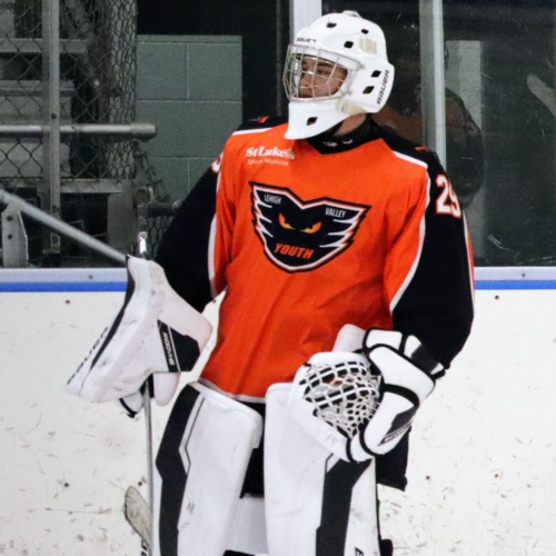 Austin Wolfe - Stats, Contract, Salary & More