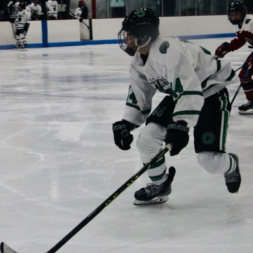 Nathan Tran - Stats, Contract, Salary & More