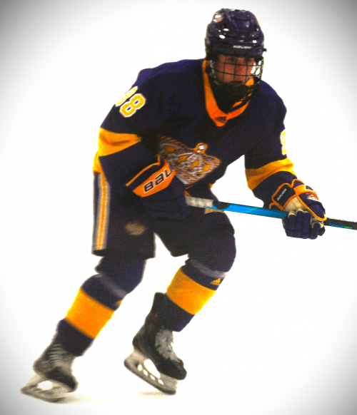 Nathan Cohn - Elite Prospects