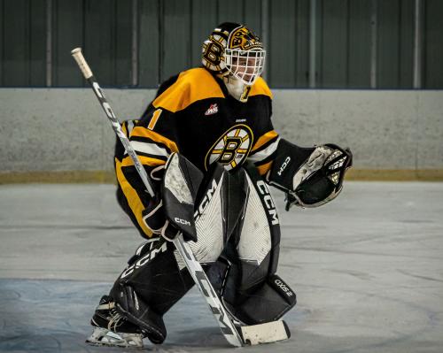 Dimitri Fortin - Elite Prospects