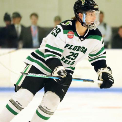 Collin Patterson - Stats, Contract, Salary & More