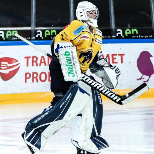 David Schaad - Stats, Contract, Salary & More