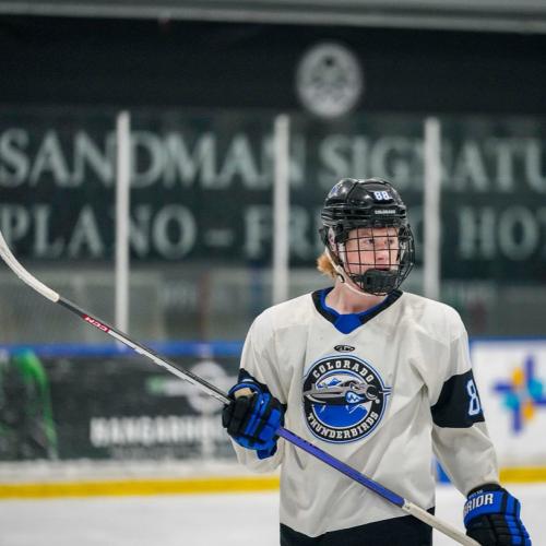 Chase Berg - Stats, Contract, Salary & More