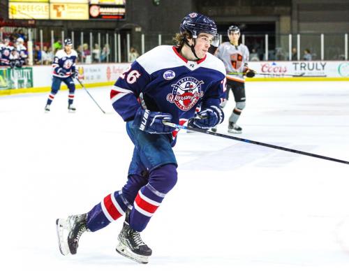 Alexander Hollands - Elite Prospects