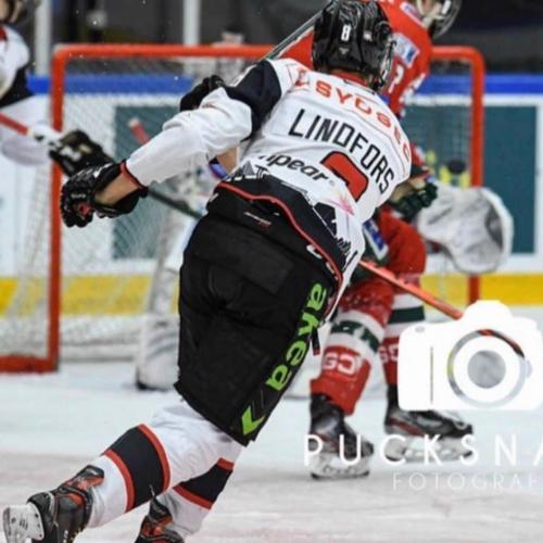 Tim Lindfors - Elite Prospects